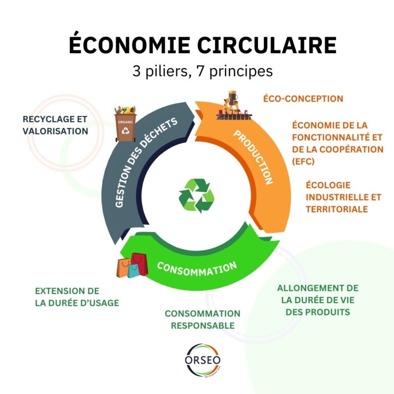 Les 7 principes de l'économie circulaire (avec exemples)