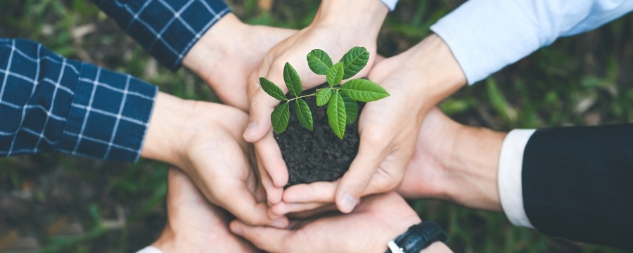 Les 7 Piliers RSE : un guide essentiel pour les entreprises responsables